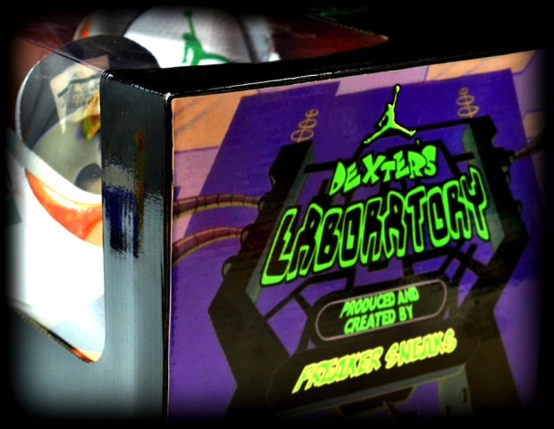 Air Jordan III Dexter’s Lab Custom Shoes by FreakerSneaks – Documenting ...